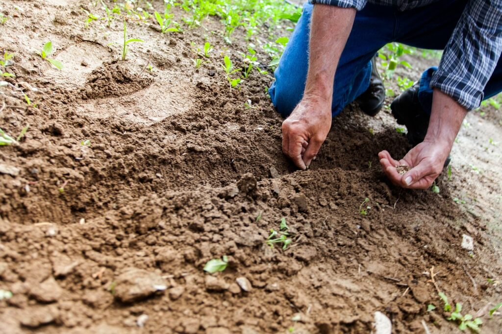 How to Dispose of Soil in the UK | Ways of Recycling Soil | Divert