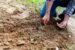 How to Dispose of Soil in the UK | Ways of Recycling Soil | Divert