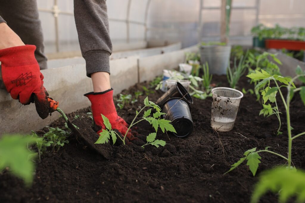 How to Dispose of Soil in the UK | Ways of Recycling Soil | Divert