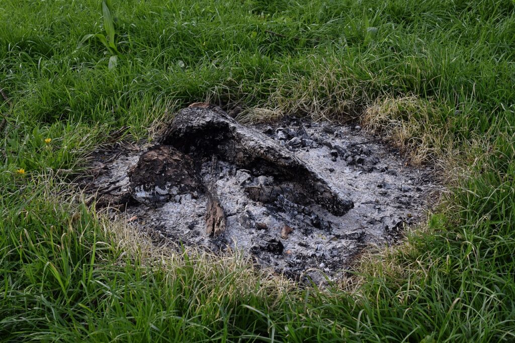Ash Waste Disposal | Ash Disposal | How to Dispose of Ash