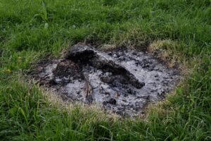 Ash Waste Disposal | Ash Disposal | How to Dispose of Ash