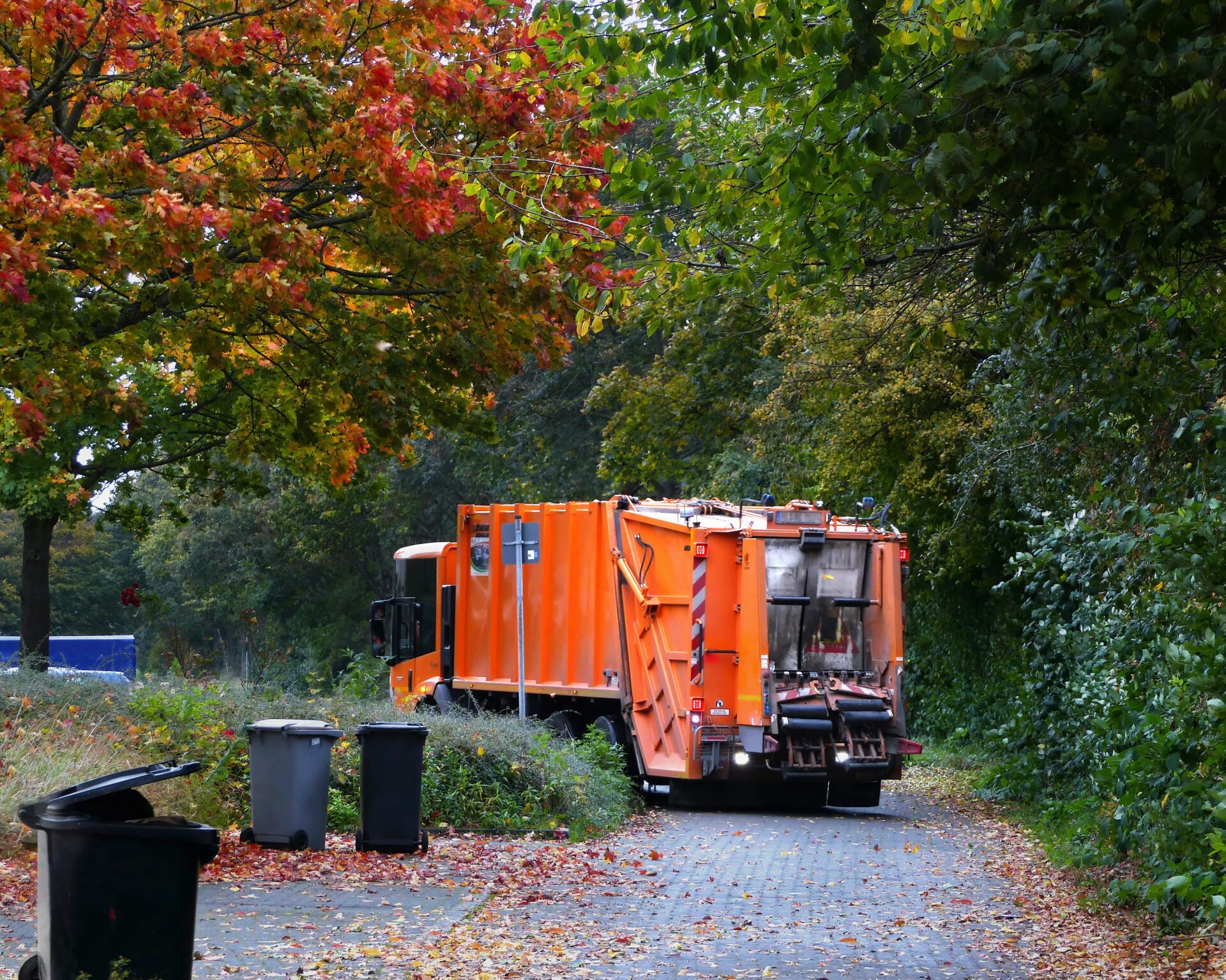What is Domestic Waste? | What is Household Waste? | Divert